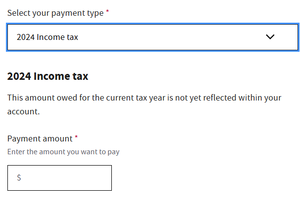 How to Navigate Your Online IRS Account (For Individuals)